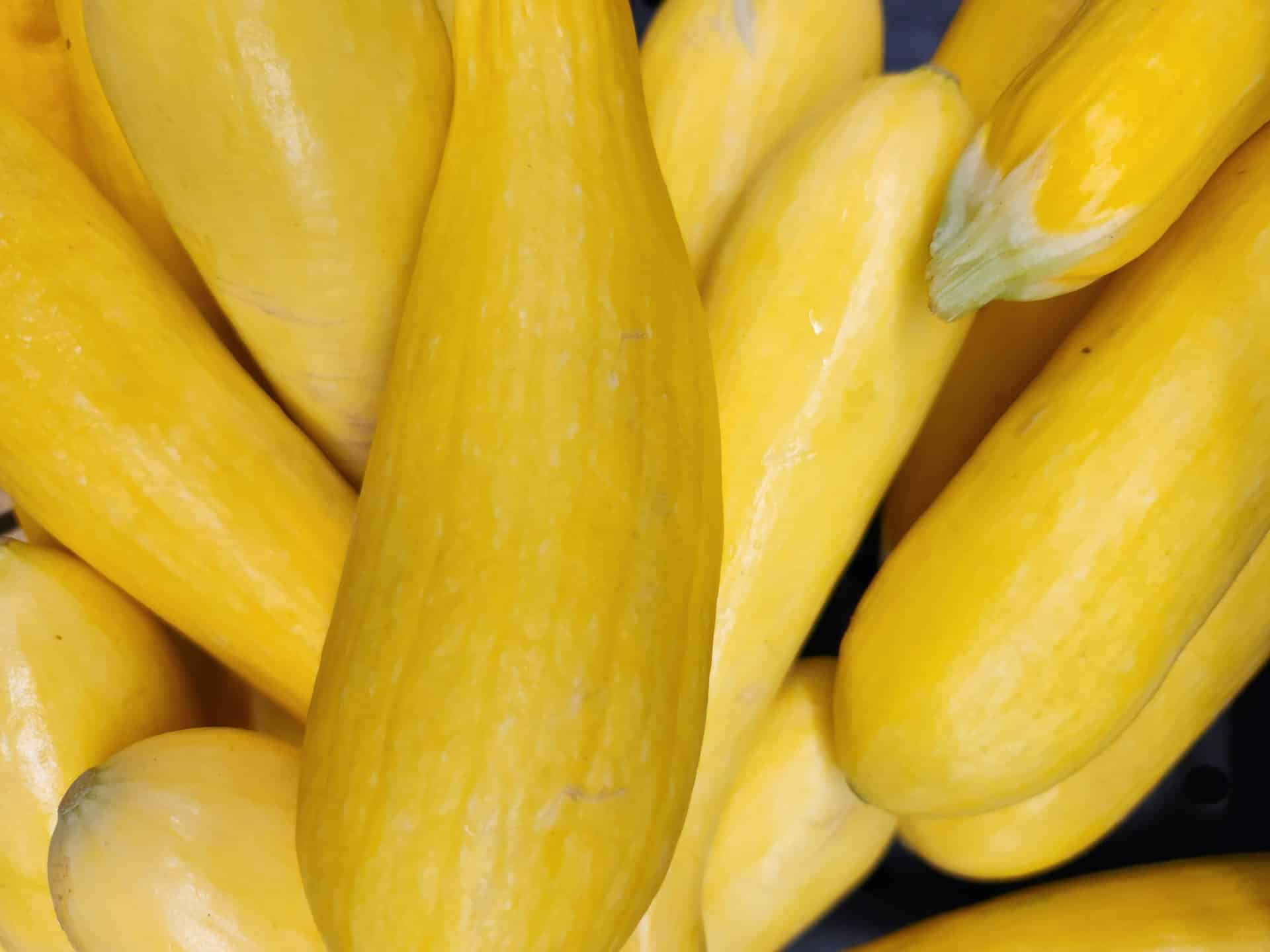 Yellow Squash - South Michigan Food Bank